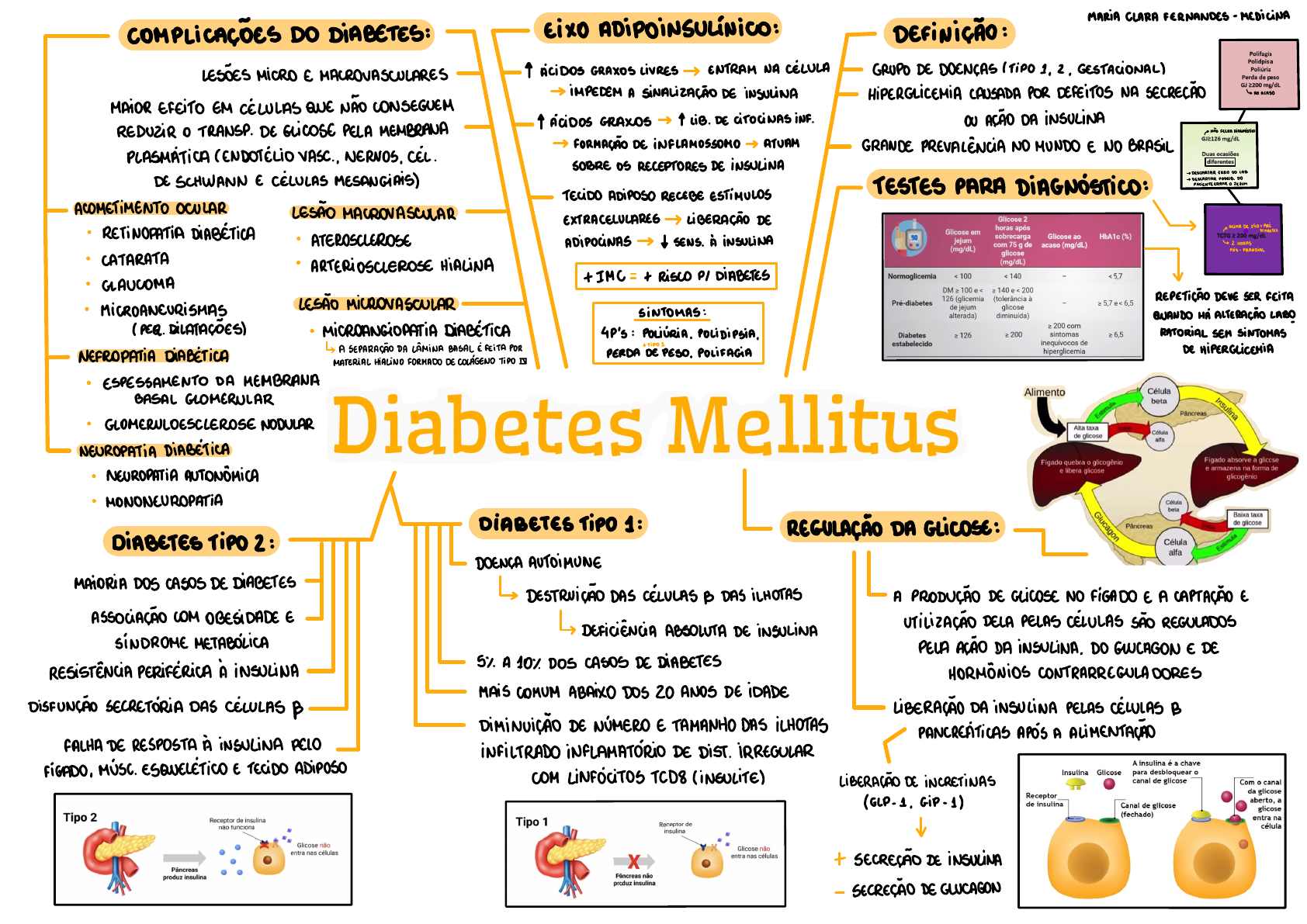 Diabetes - Mapa Mental - Endocrinologia