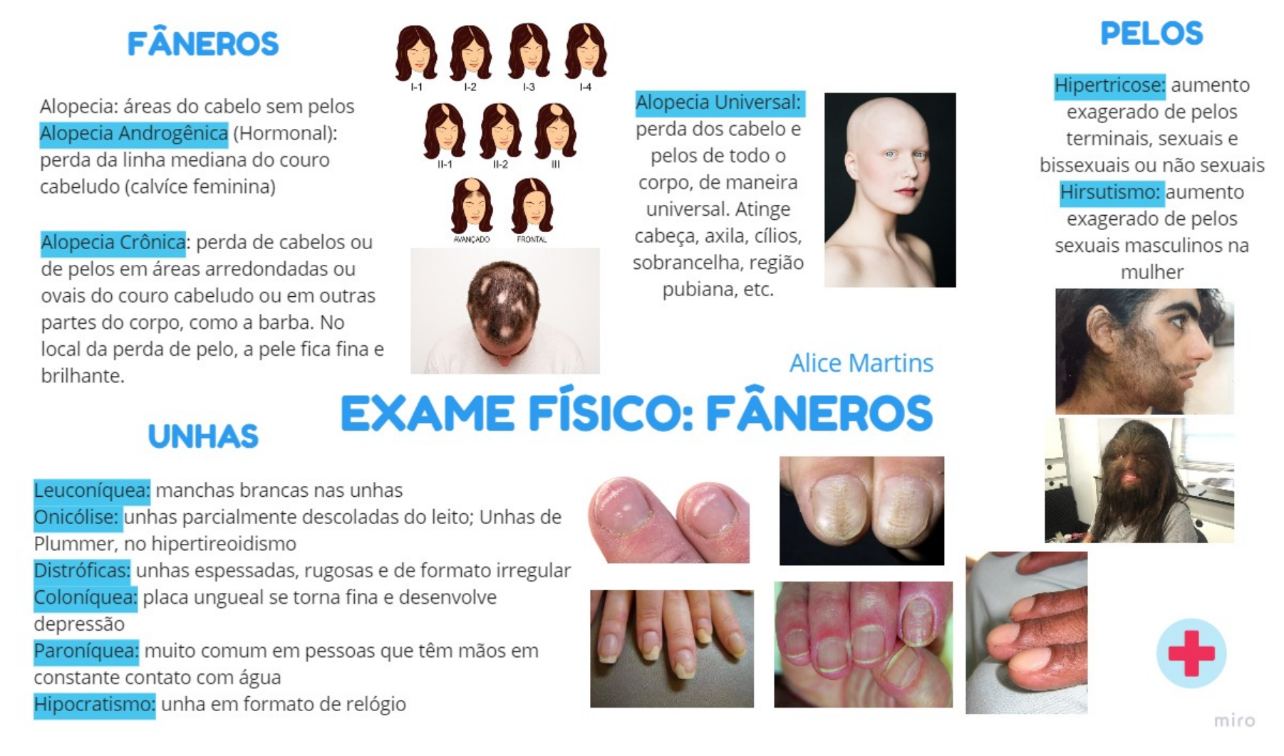 Mapa Mental -Fâneros - Semiologia Médica