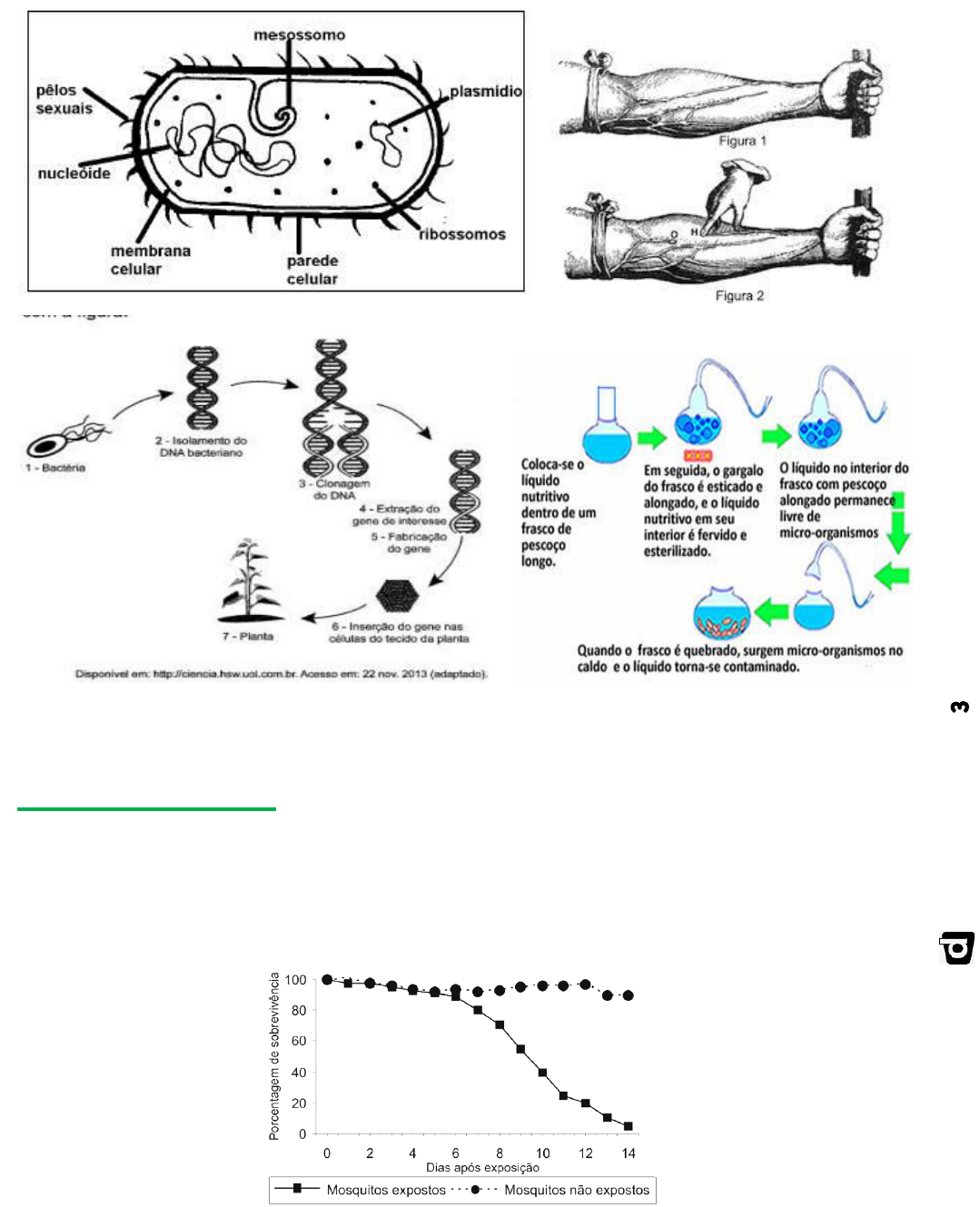biologia-Interpretando gráficos tabelas e figuras - Biologia
