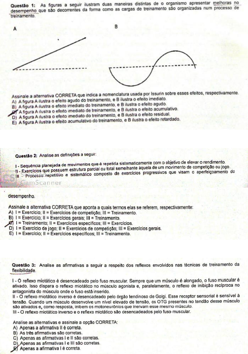 metodologia do treinamento físico - Metodologia do Treinamento Físico
