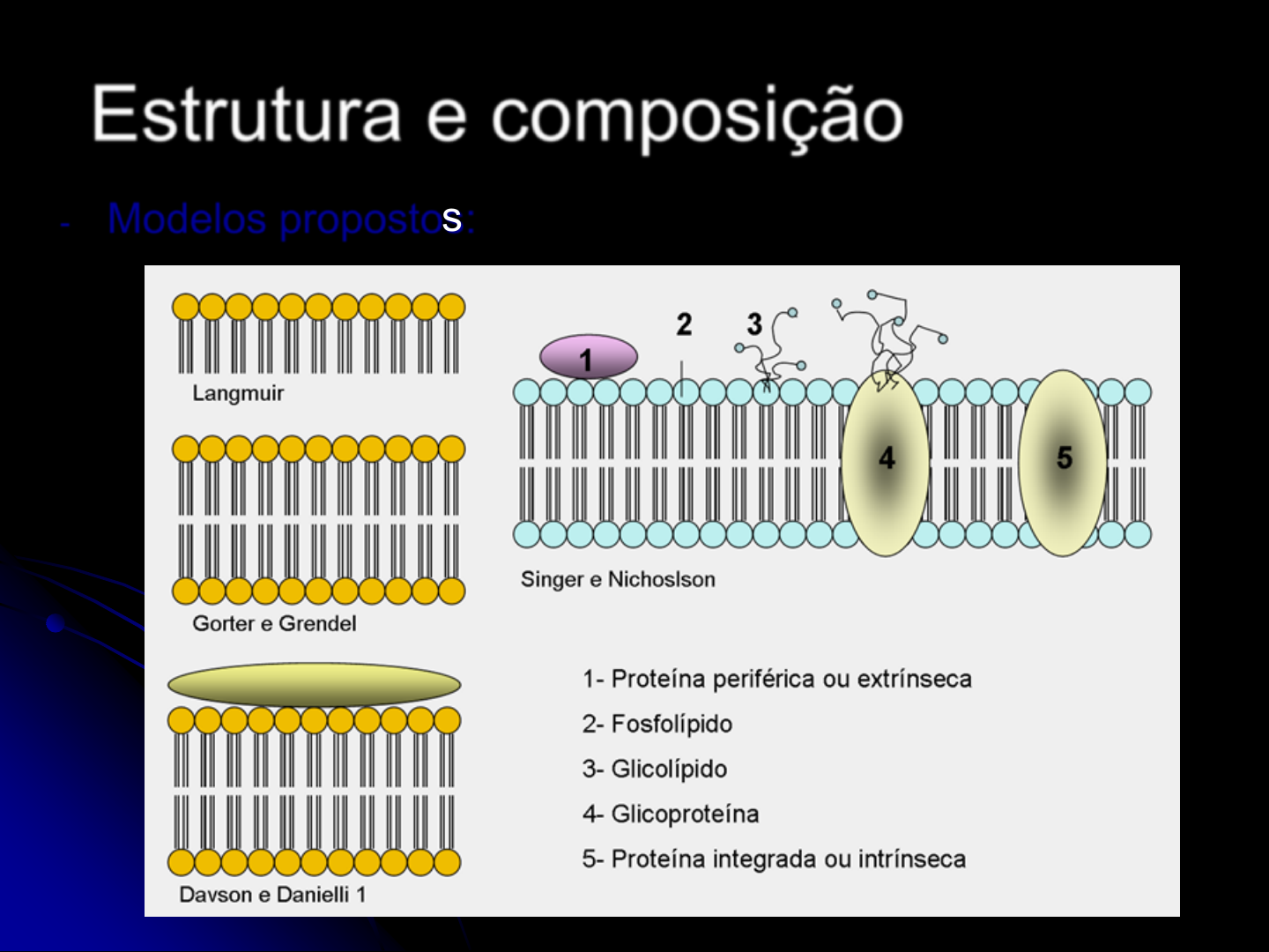 Estrutura Da Membrana Plasmática - Nuepe Ufpr Uma Abordagem Integral ...
