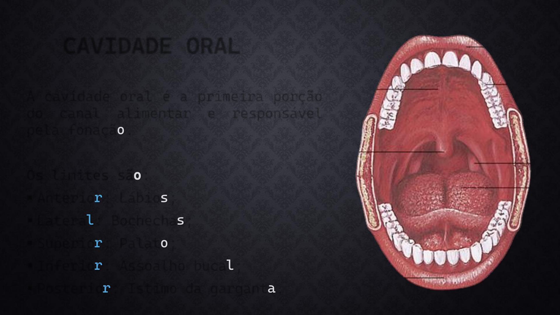 1 CAVIDADE ORAL E GLANDULAS SALIVARES - Odontologia