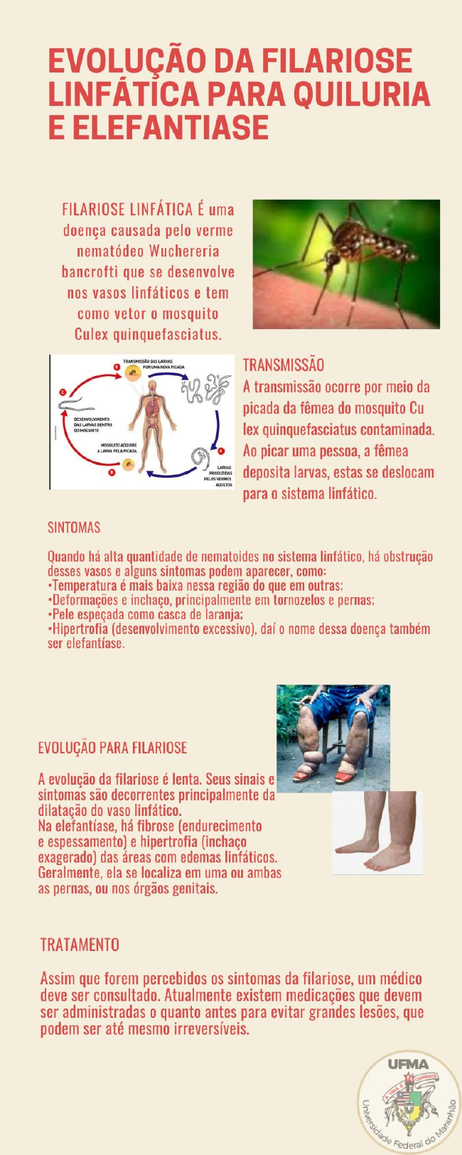 Evolução da Filariose linfática para quiluria e elefantiase - Parasitologia