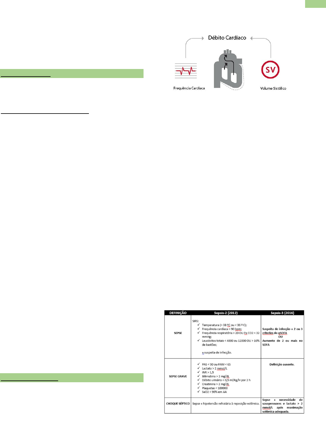 Criterios Qsofa Pdf | Cabinets Matttroy
