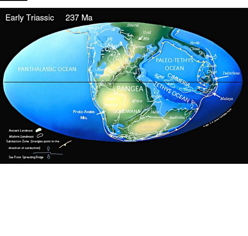 A influência do Mar Tethis na formação do Oceano Atlântico - Geologia