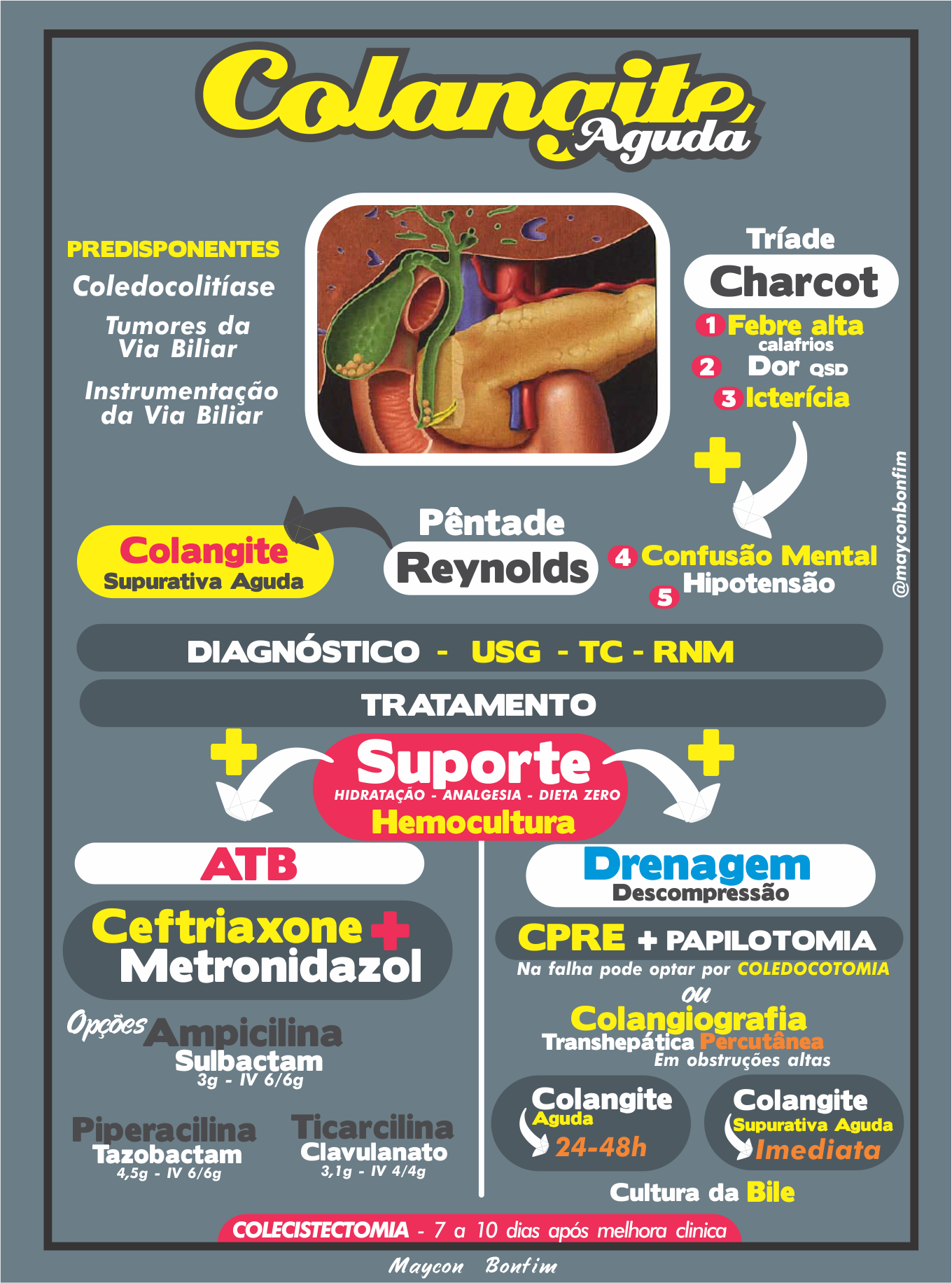 154 - COLANGITE AGUDA - Resumos