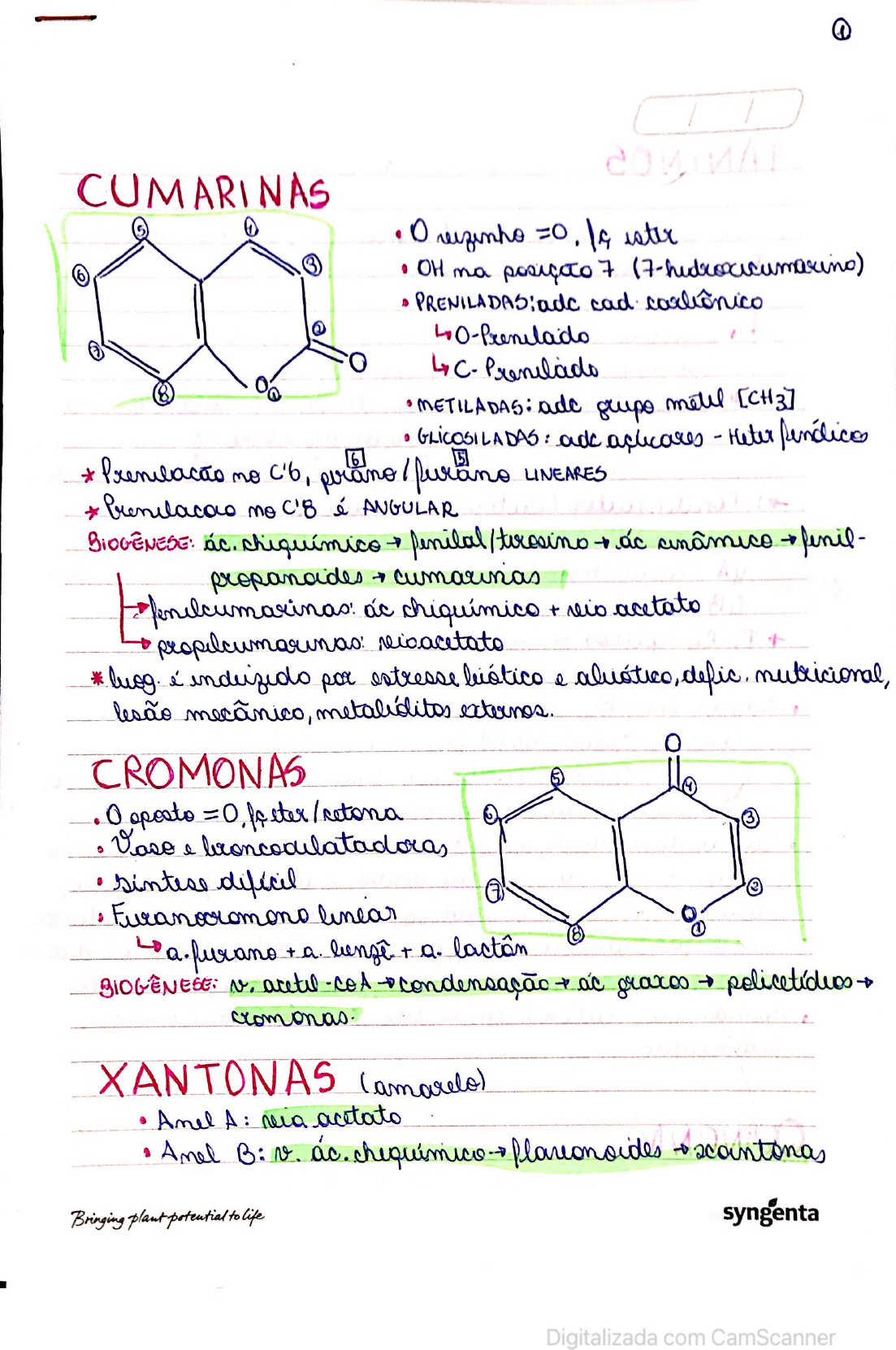 Cumarinas, Cromonas, Xantonas, Taninos, Quinonas, Lignóides - Farmacognosia