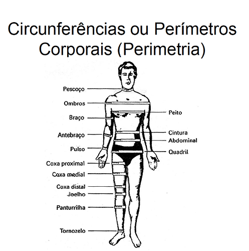 perimetria - Educação Física
