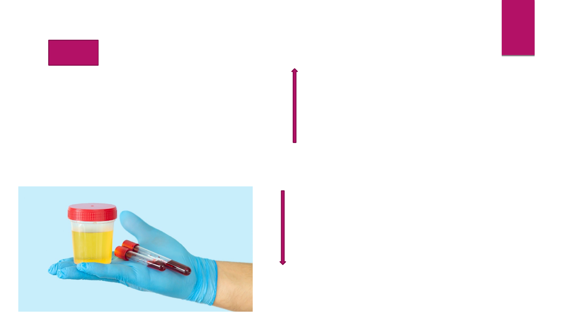 Infografico E Mapa Mental Exames Laboratoriais UTI, 52% OFF