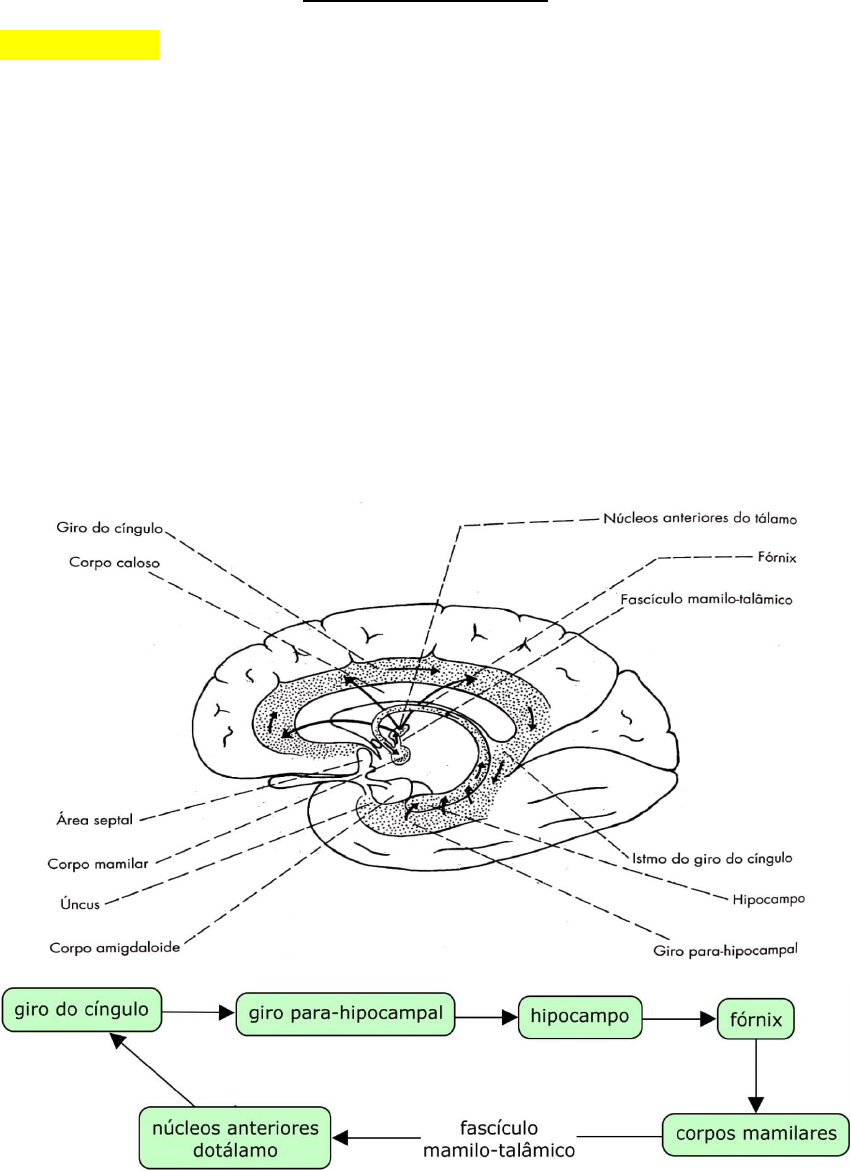 resumos neuro 8 - Neurologista