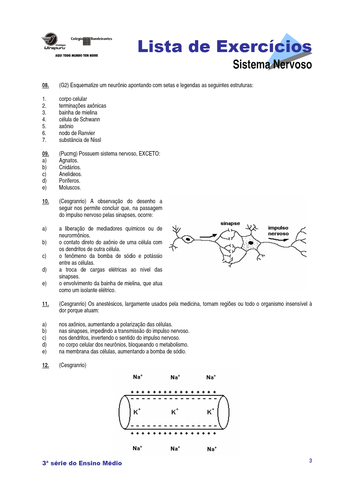 Lista De Exercícios Sistema Nervoso Pdf Download Grátis Biofisiologia