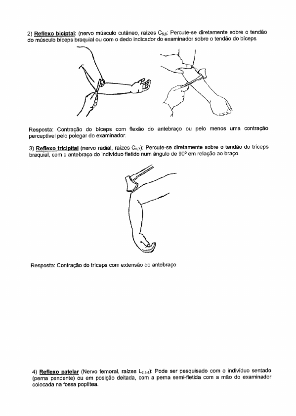Reflexo no Homem - Fisiologia Humana I