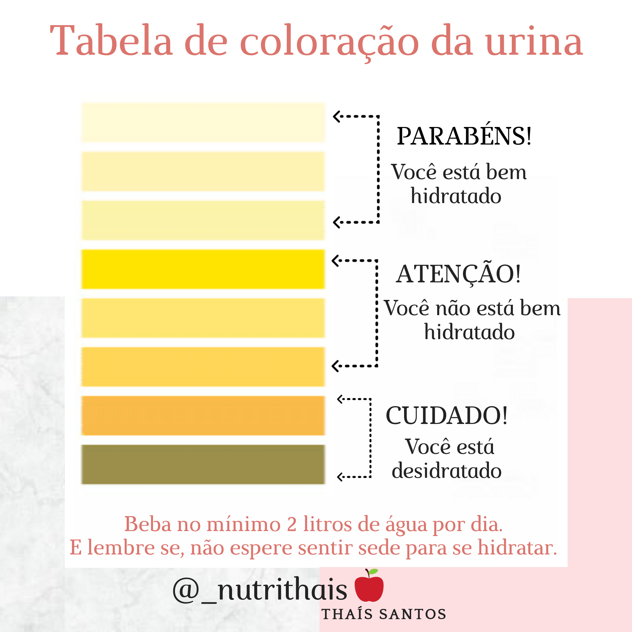 coloração da urina - Fisiologia Humana I