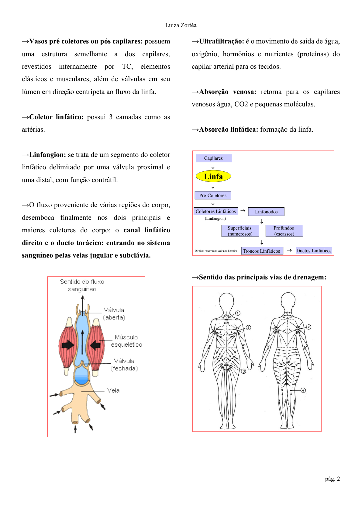 Dermatofuncional Linfedema, Enfaixamento, feridas complexas ...
