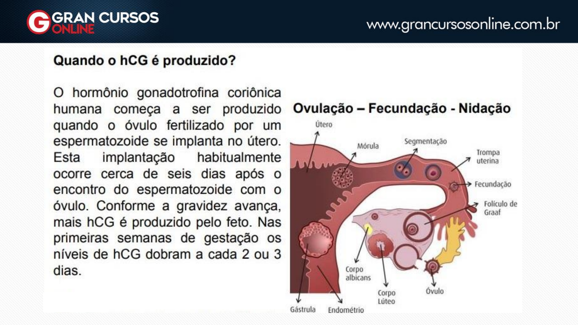 Gonadotrofina coriônica humana (HCG) - Parte 2👽 Descubra o que a Santa Casa Jequié tem a oferecer