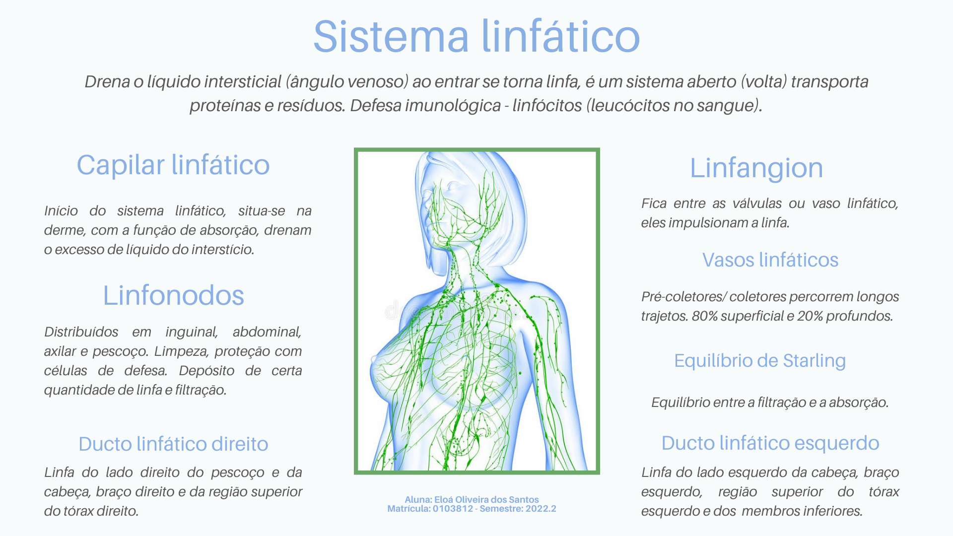 Sistema Linfático - Drenagem Linfatica