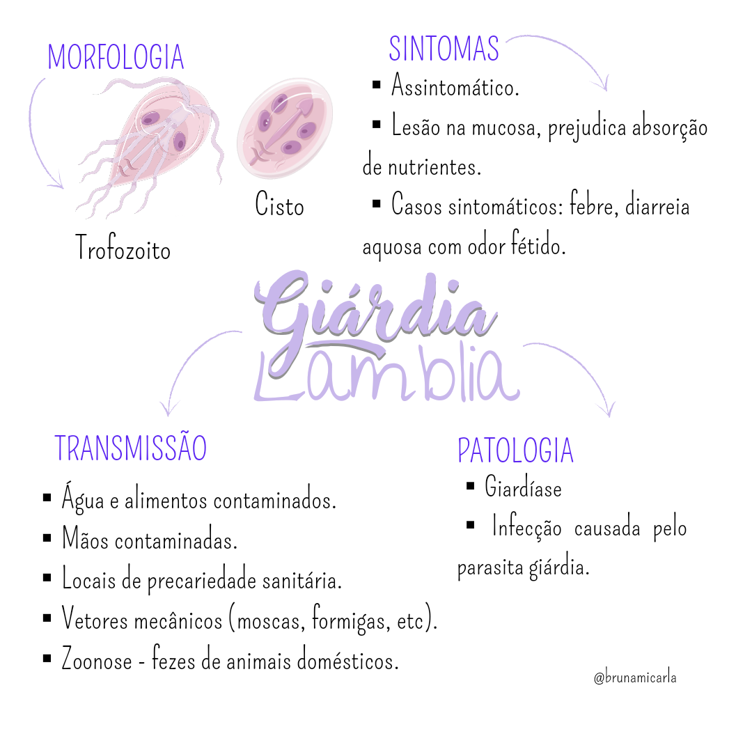 Giardia Lamblia - Parasitologia Humana