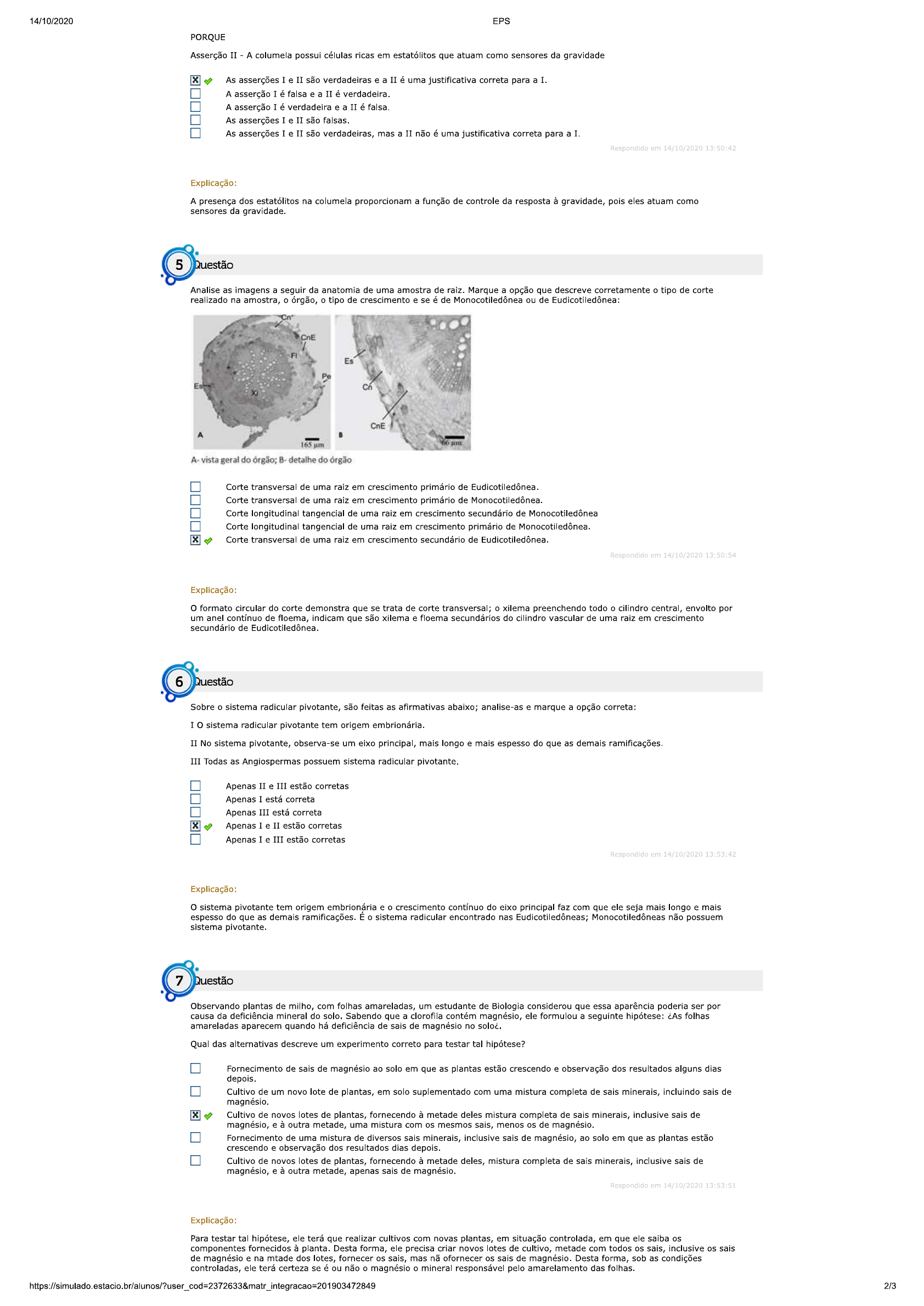 Anatomia Vegetal Básica para o Ensino de Ciências e Biologia aula 5 1 ...