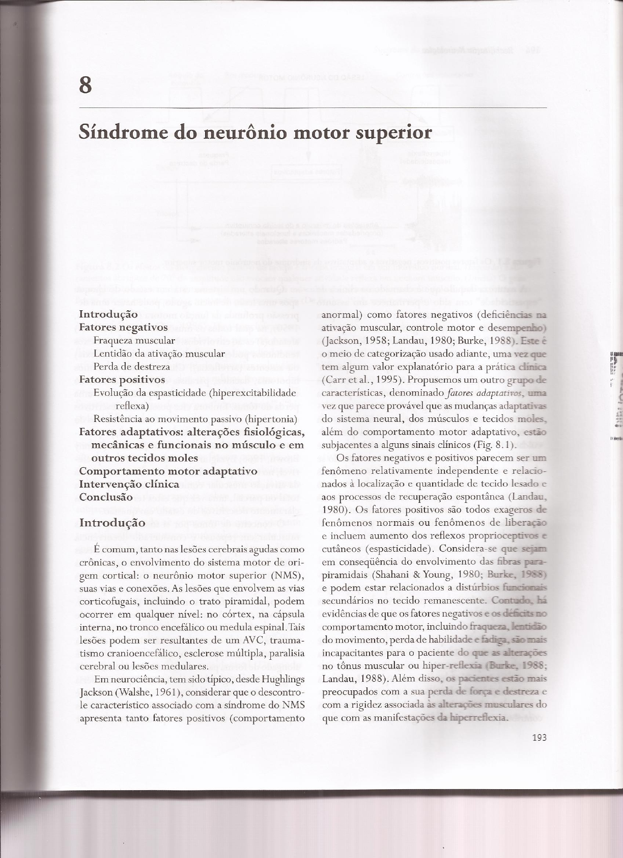 Capítulo 8 - Síndrome do neurônio motor superior - Neuroanatomia ... Capítulo 8 - Síndrome do neurônio motor superior - Neuroanatomia ...
