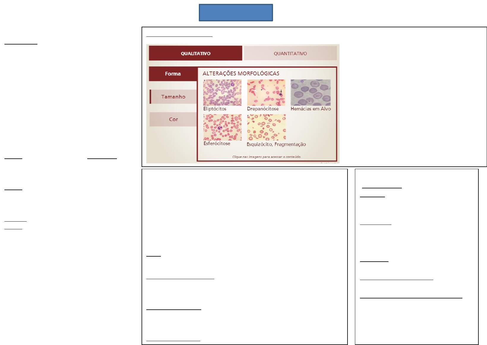 Hemograma E Anemias Hematologia Hemograma E Anemias Hematologia