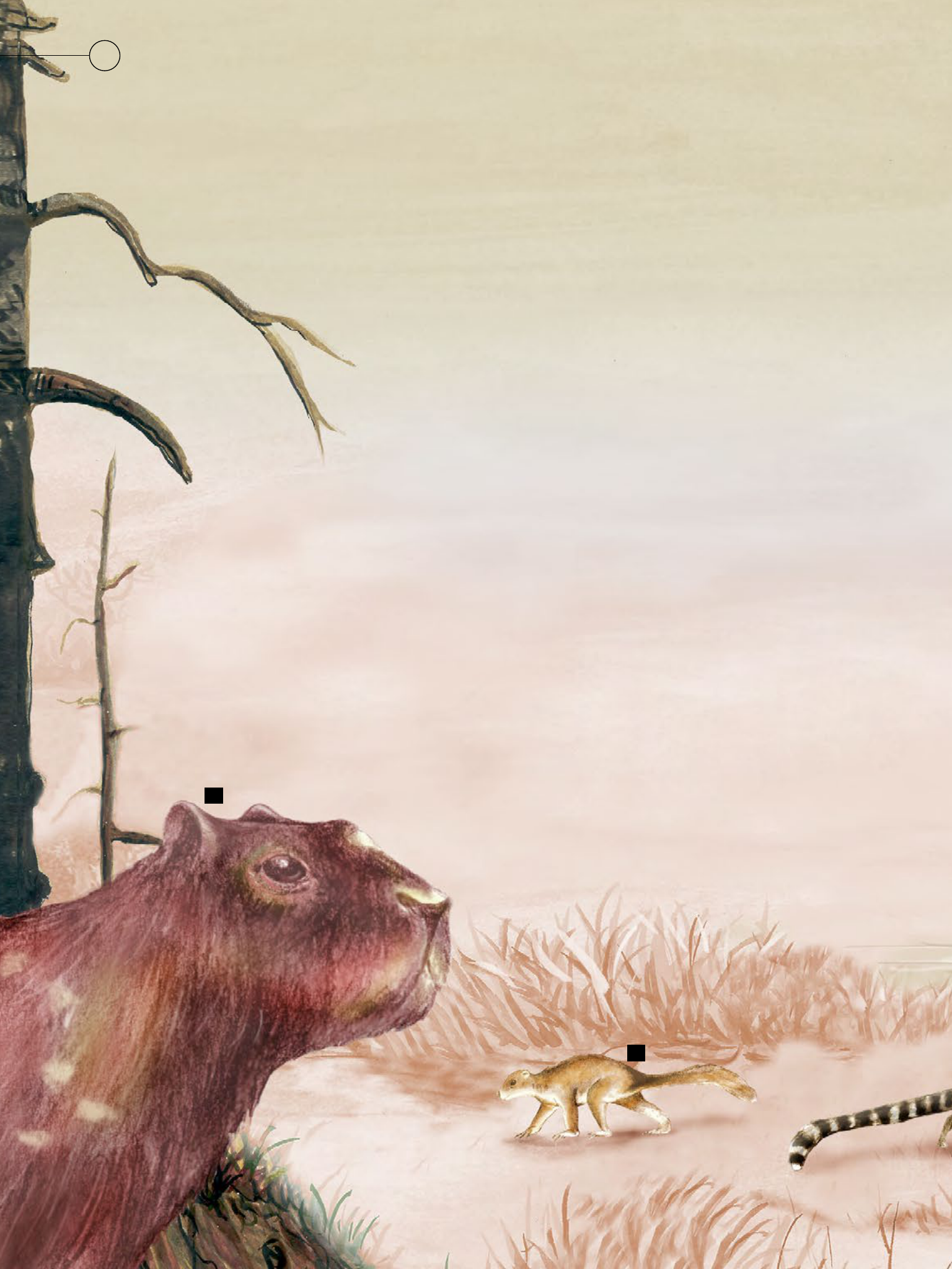 Embriao Do Lobo Crepuscular Animais Em Extinção | PPT