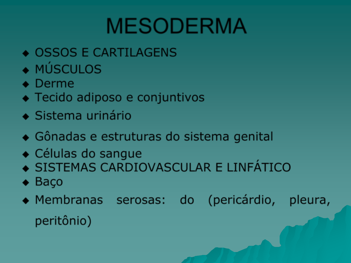4 AULA FOLHETOS EMBRIONARIOS - Biologia Celular