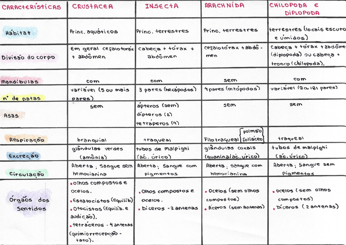 TABELA DE ZOOLOGIA - Biologia