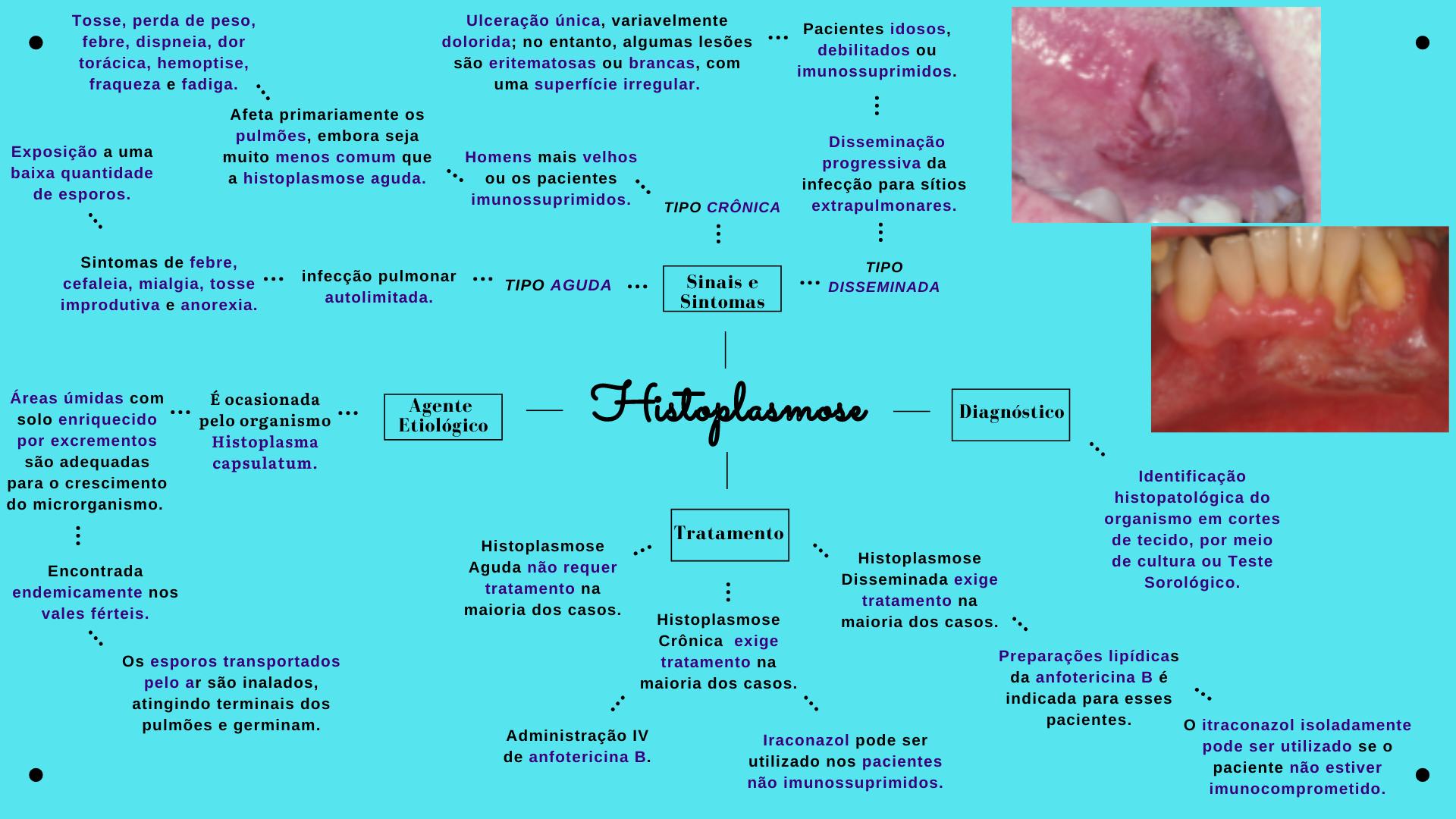 Mapa De Histoplasmose Prevalence Of Sensitivity To Coccidioidin, With