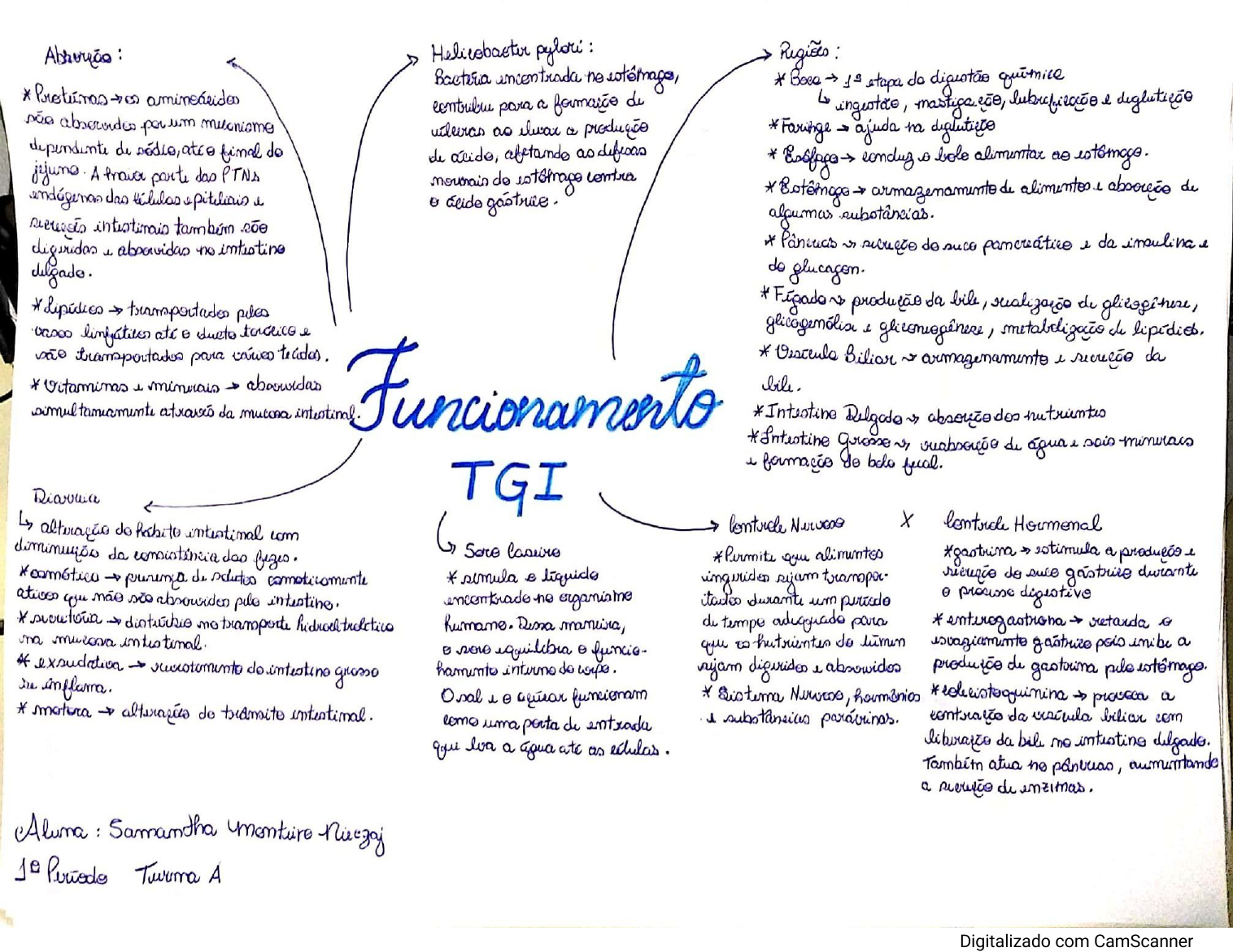 Mapa Mental TGI - Fisiologia I