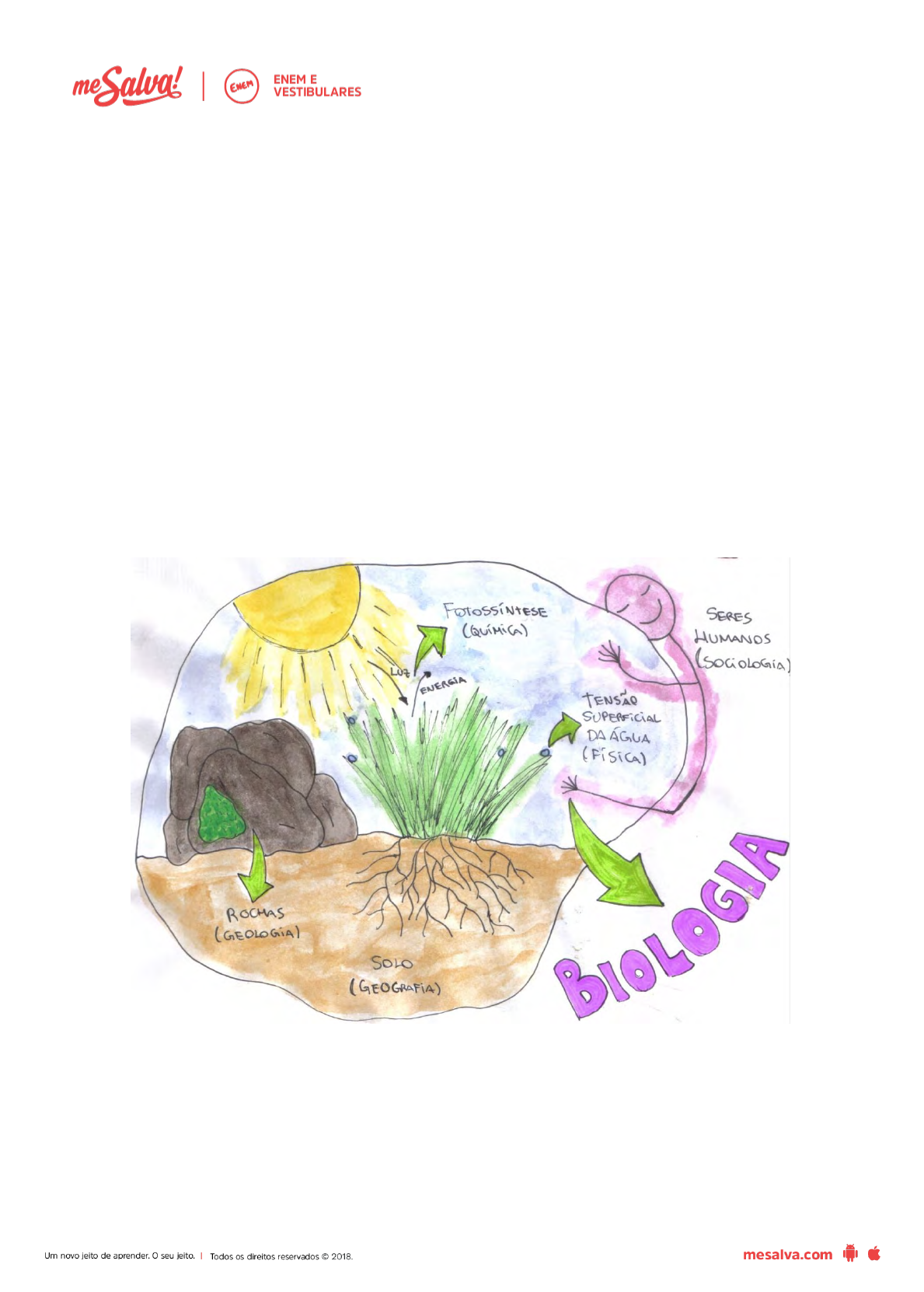 Apostila BIOLOGIA V.1 - Me salva - ENEM Completo - Biologia