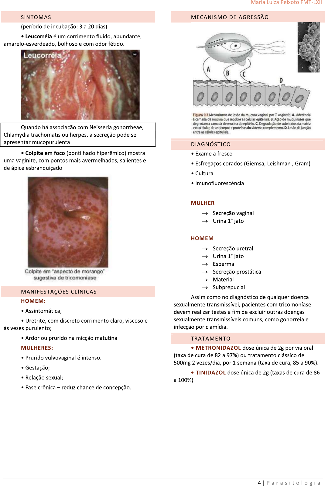 Tricomoníase - Biologia