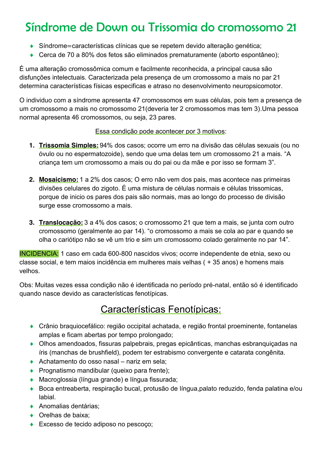 Cariotipo Trissomia 21 Loja Kinuê