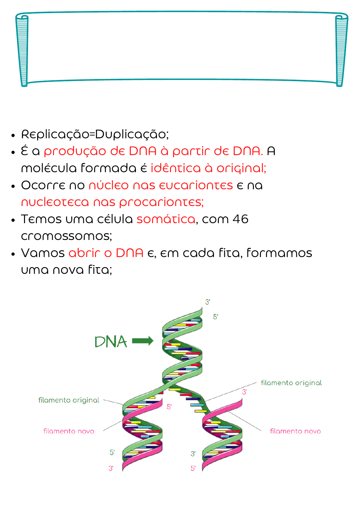 Etapas De Replicacao De Dna Para Criancas