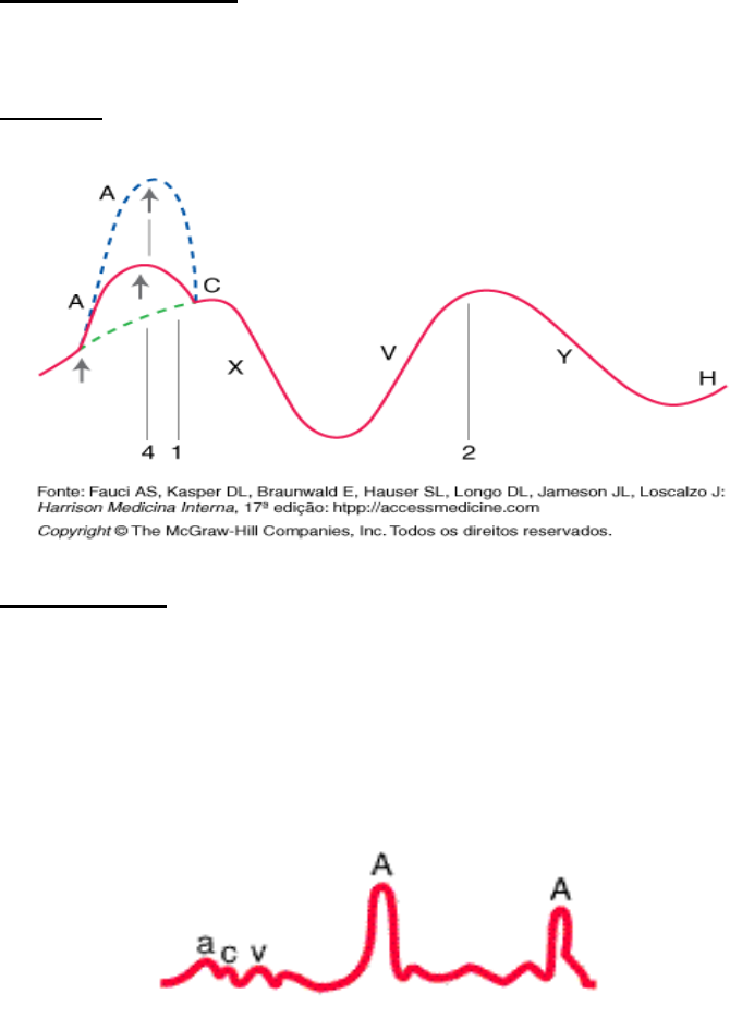 Aula 2 Pulso Venoso - Semiologia e Semiotécnica