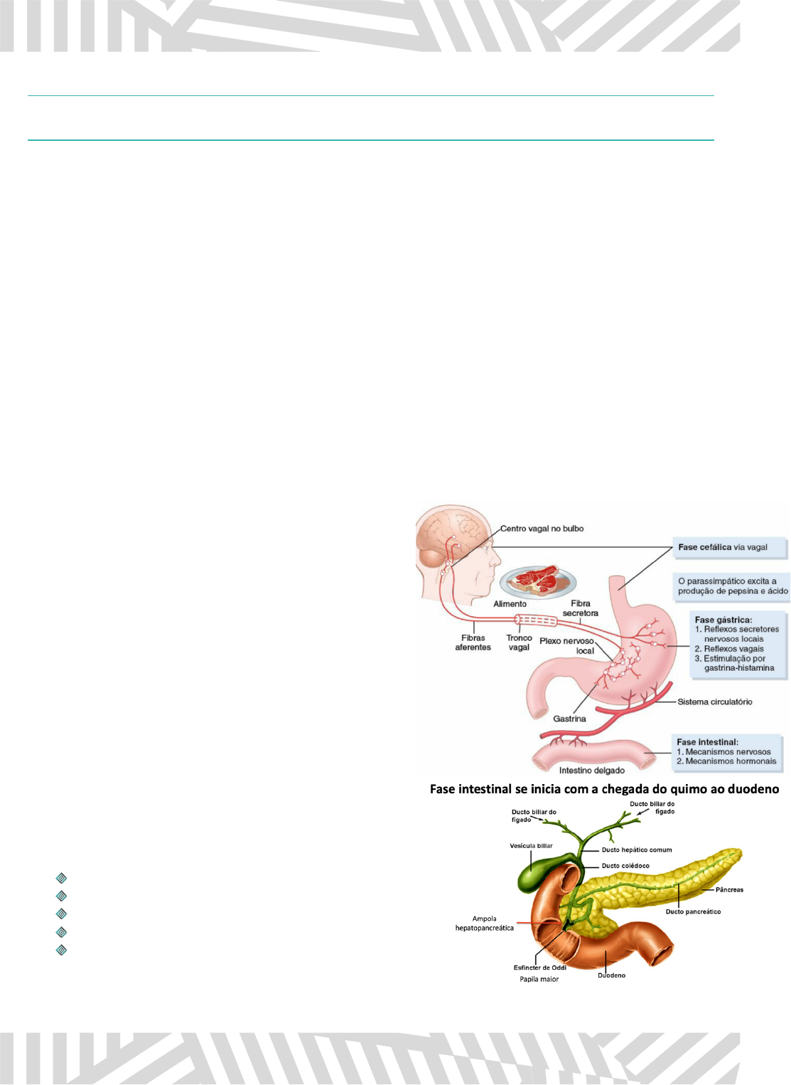 SECREÇÃO PANCREÁTICA - Tratado de Fisiologia Médica Guyton