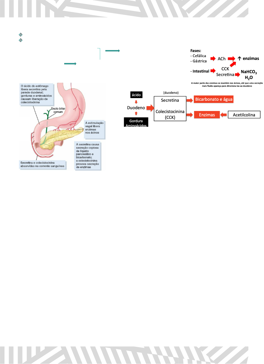SECREÇÃO PANCREÁTICA - Tratado de Fisiologia Médica Guyton