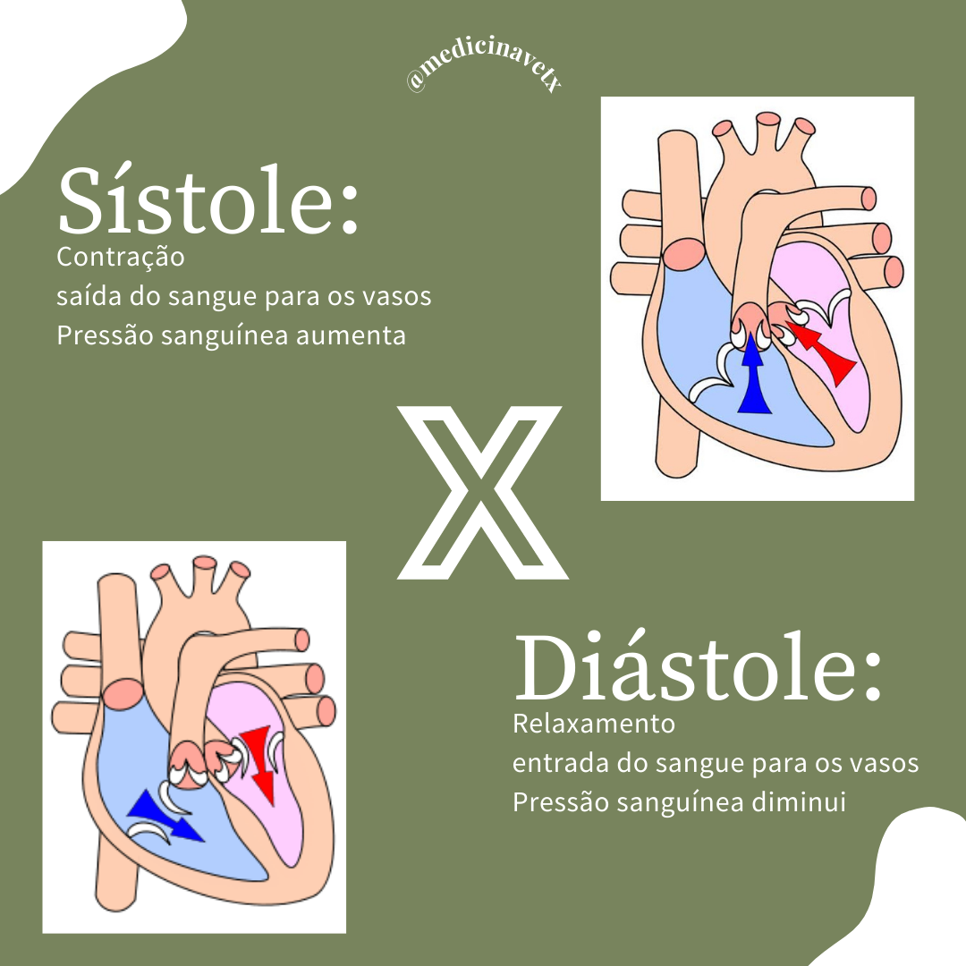 Qual A Diferença Entre Sístole E Diástole - RETOEDU