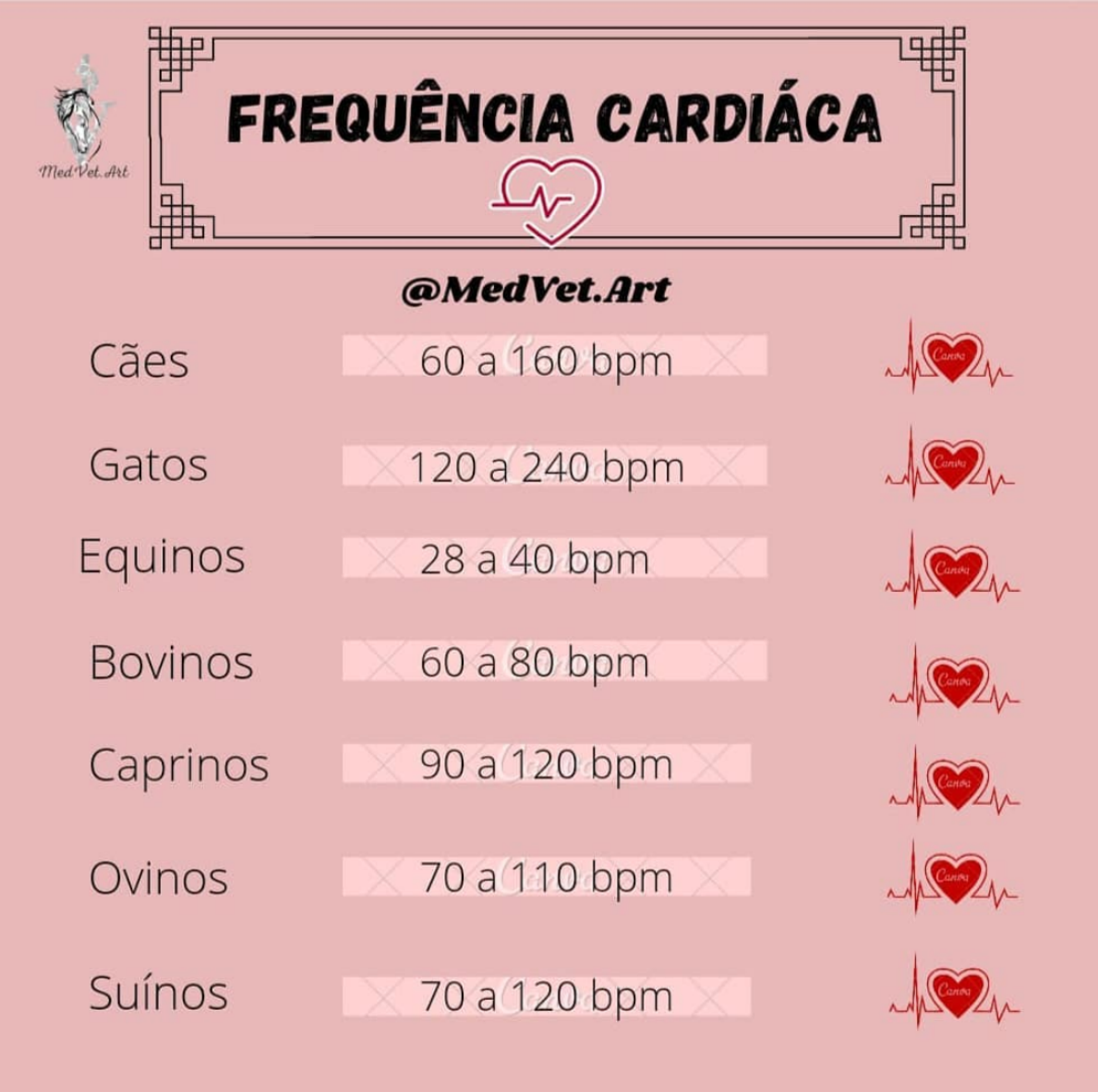 Linha De Frequencia Cardiaca