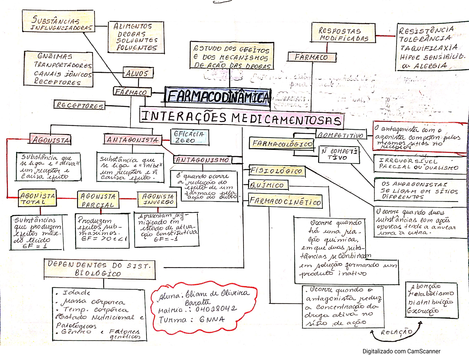 Mapas Mentais Sobre Farmacocinetica Study Maps - vrogue.co Mapas Mentais Sobre Farmacocinetica Study Maps - vrogue.co