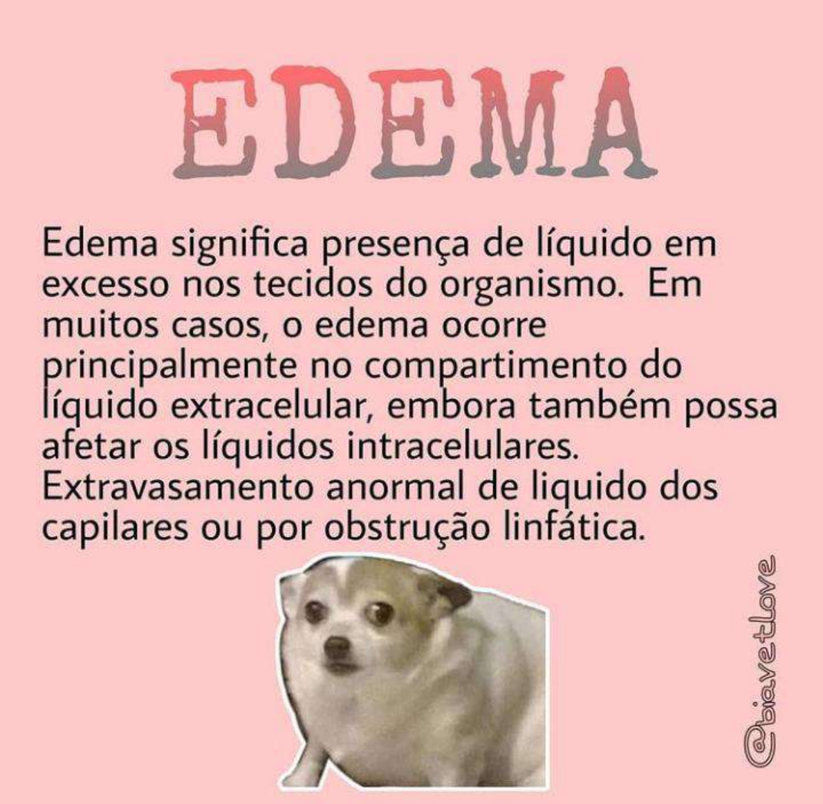 Edema e suas causas - Medicina Veterinária