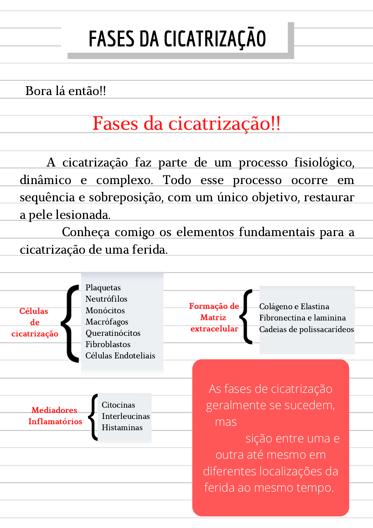 Etapas De Cicatrizacao De Feridas