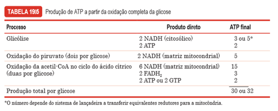saldo de ATP da oxidação completa da glicose - Bioquímica II