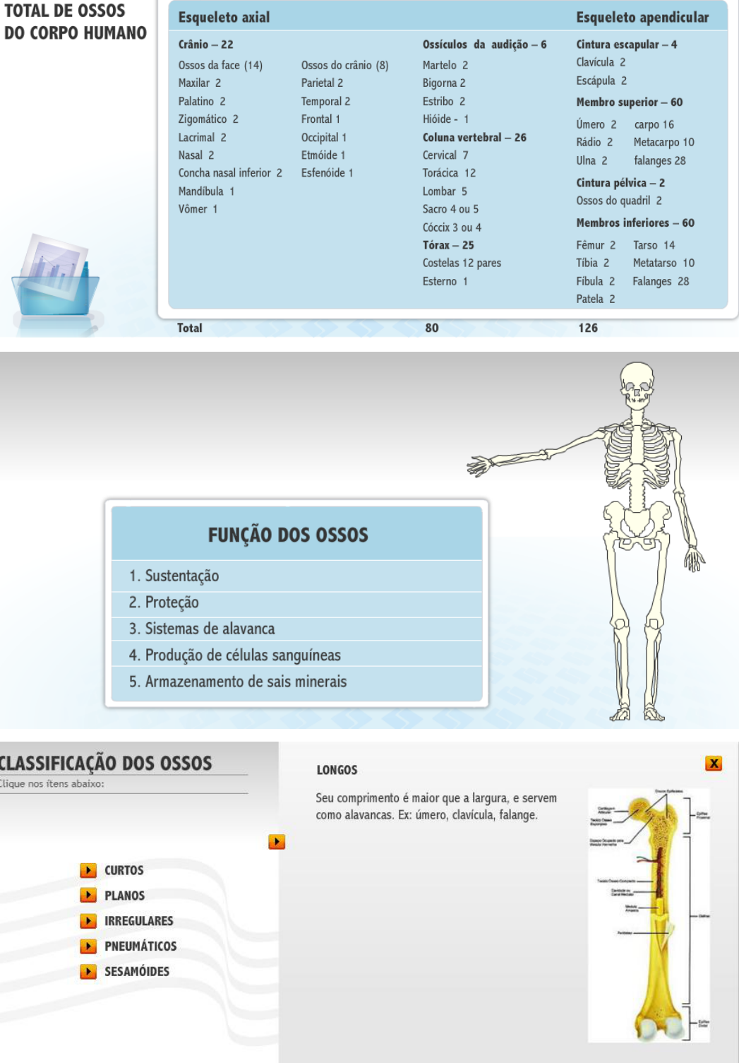Aula 1 Termos Anatomicos - Anatomia Sistêmica