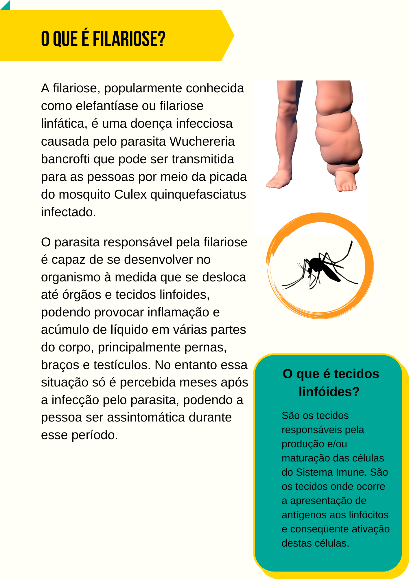 filariose - Enfermagem