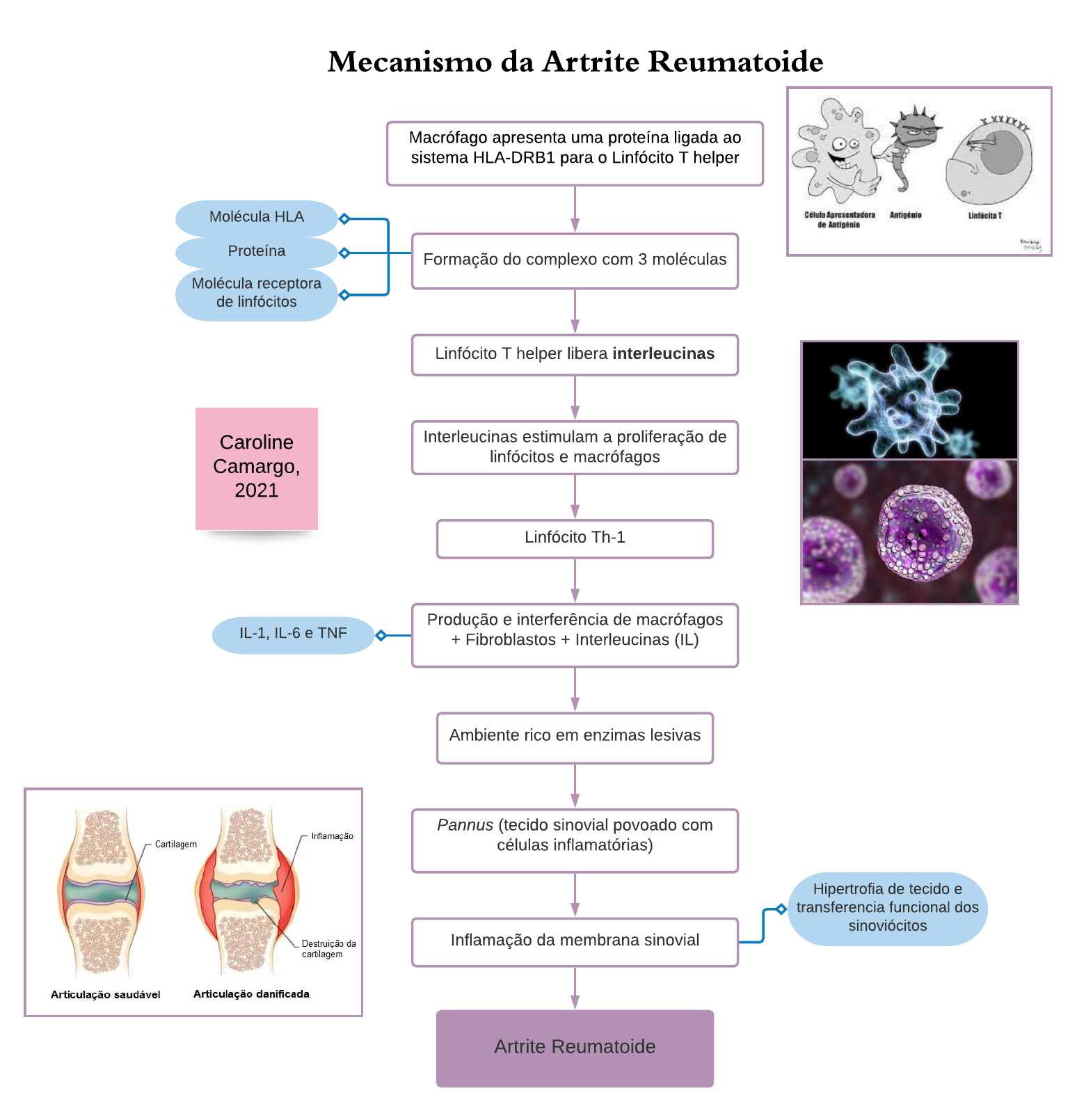 Diagrama De Fisiopatologia Da Artrite Reumatoide Artrite Reumatoide