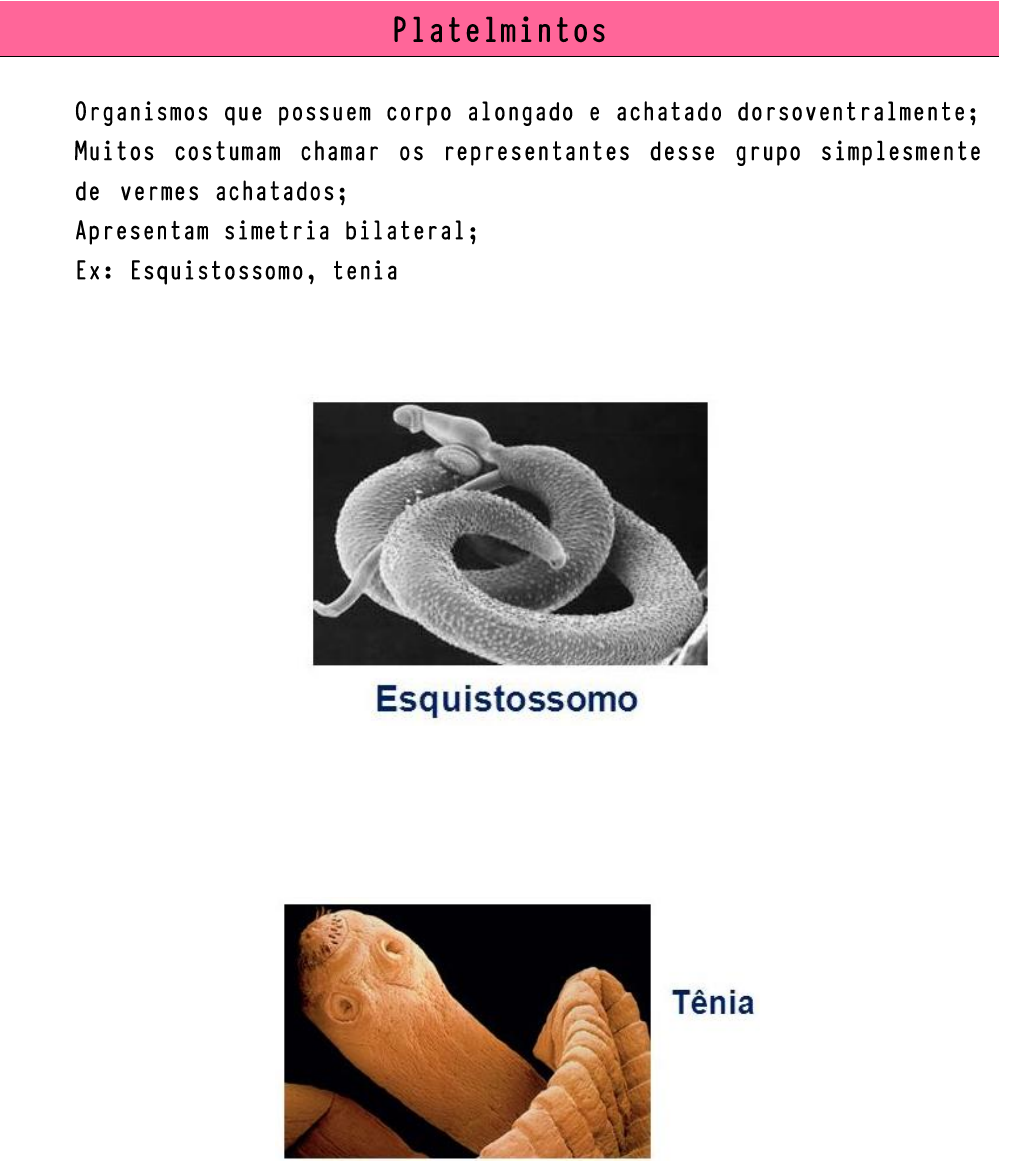 HELMINTOS, PLATELMINTOS E NEMATELMINTOS - Parasitologia