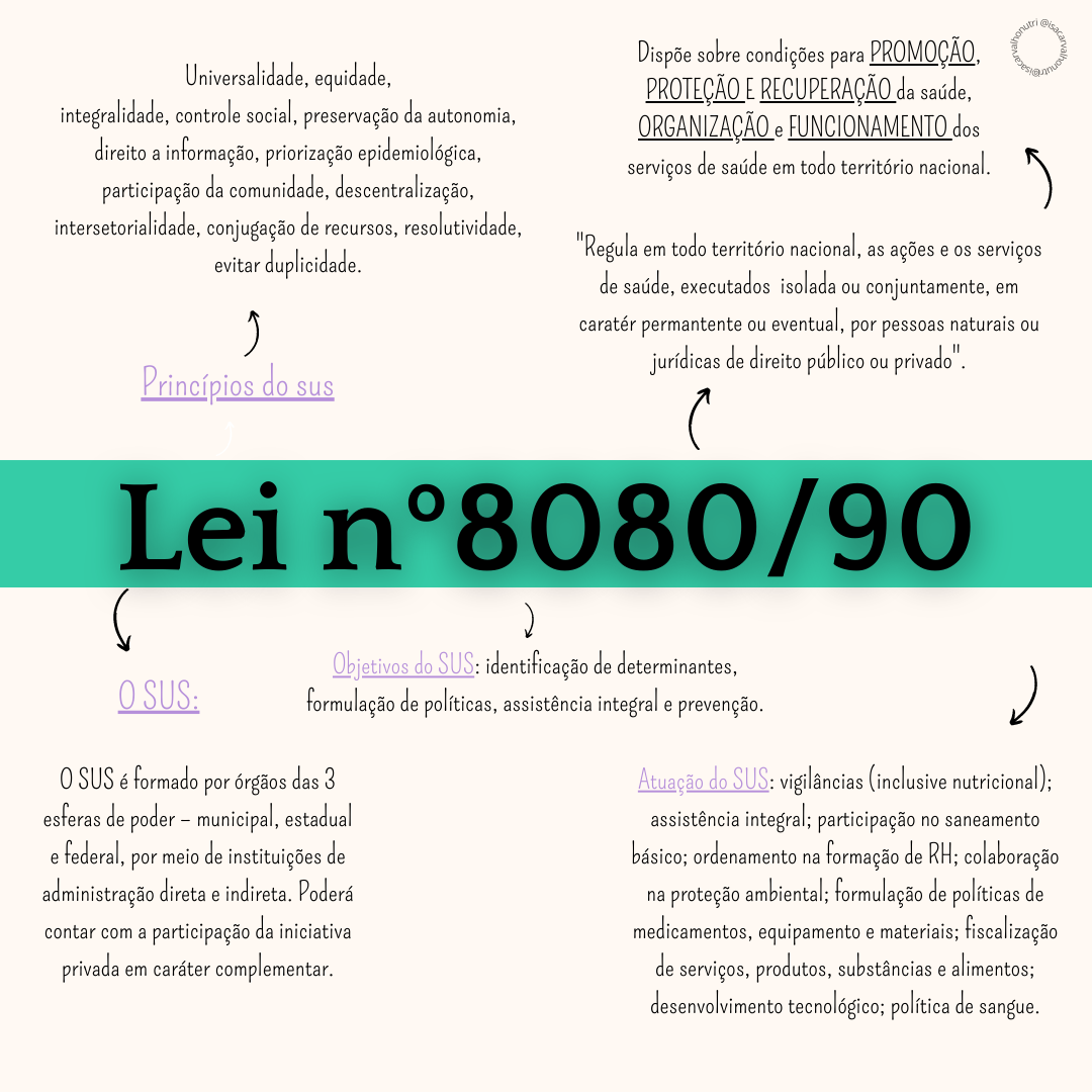 Lei 8080 de 1990 - Nutrição em Saúde Pública