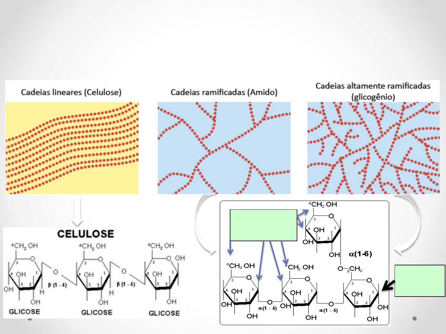 Aula6 Metabolismo glicogenio - Bioquímica I