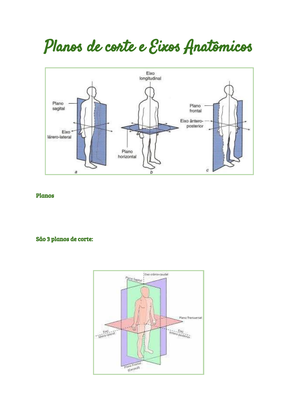 Planos E Eixo Anatomia