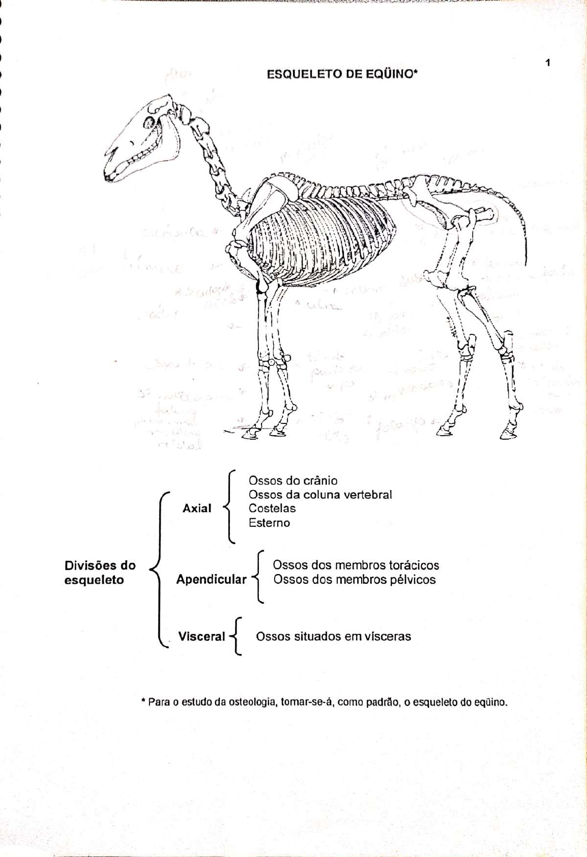 APOSTILA DE ANATOMIA VETERINÁRIA - UFPR - Anatomia Veterinária I
